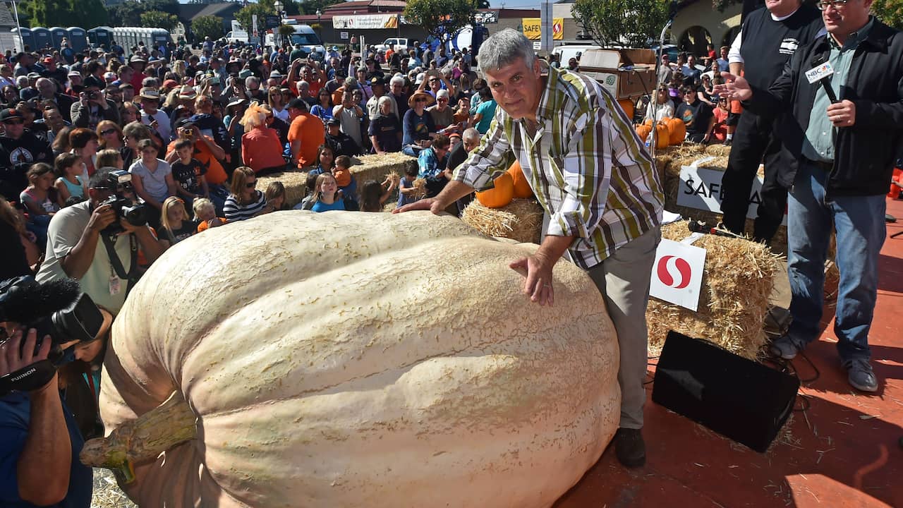 Pompoen van 890 kilo wint WK grootste pompoen | NU - Het laatste nieuws ...
