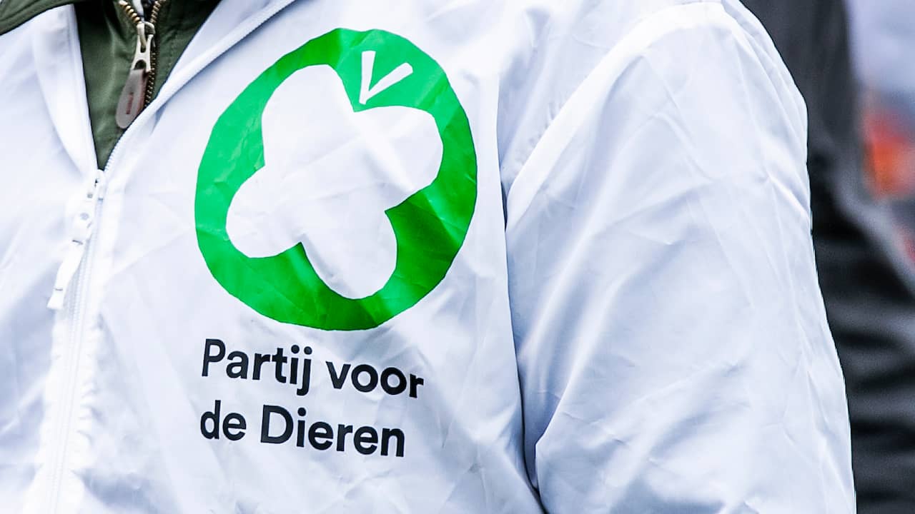PvdD roept op vleermuizen en zwaluwen niet te vergeten bij renovatie ...