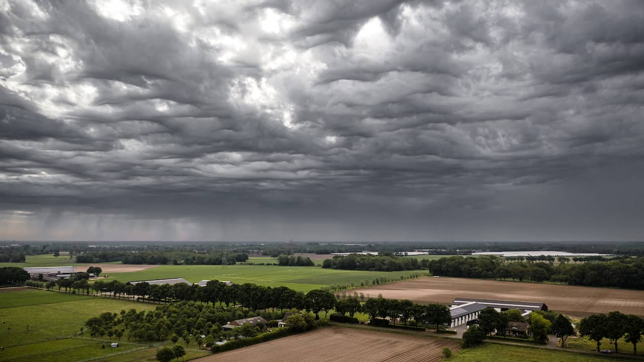 Code oranje vanwege storm Poly: kans op zeer zware windstoten in groot deel van het land ...