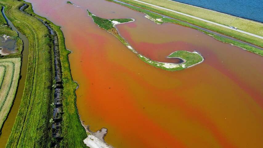 Bijzonder natuurverschijnsel doet waterplas op Texel na vijf jaar weer ...