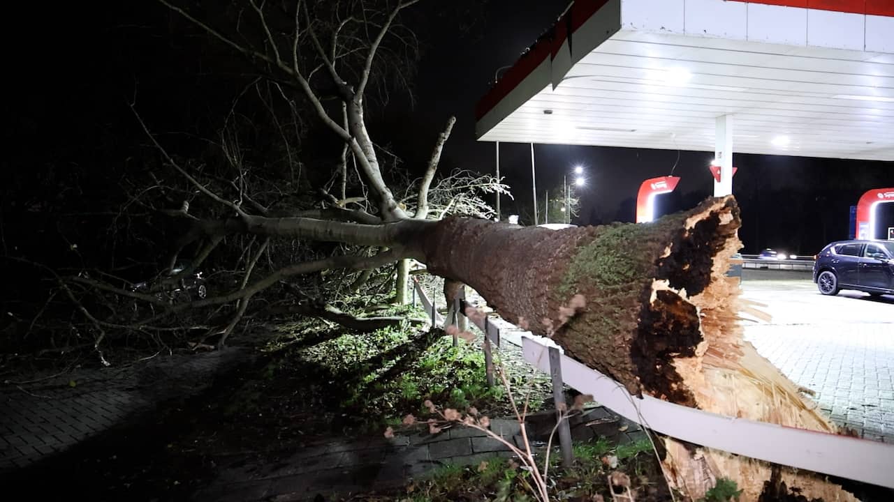 Conall officieel eerste zware storm van het jaar: windkracht 10 op Vlieland | Binnenland | NU.nl