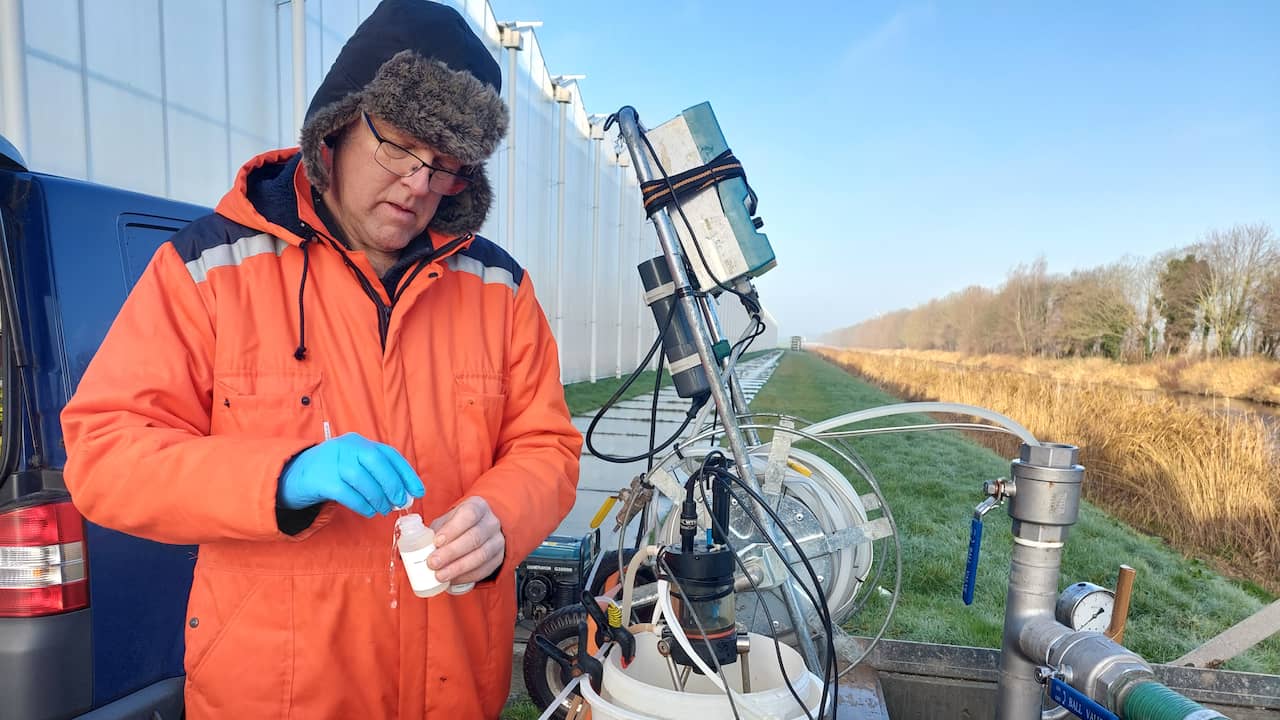 Koplopers: Heet water uit 'ondergrondse zwembaden' houdt kassen warm ...