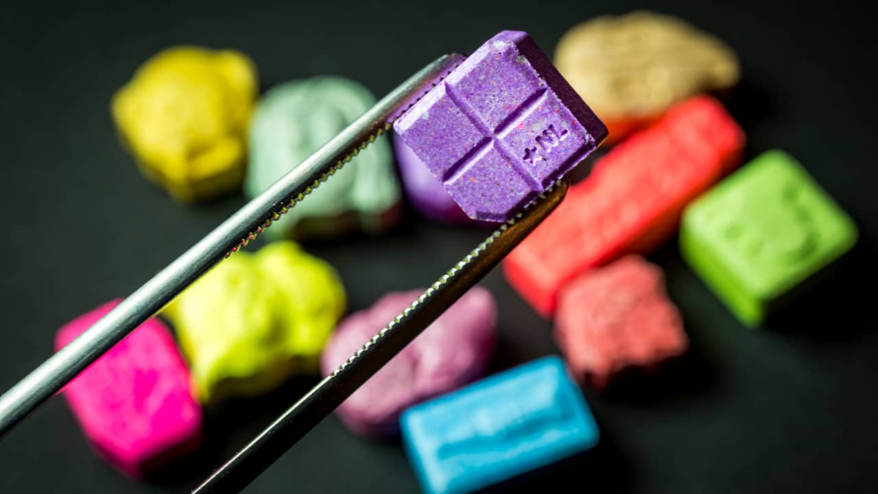 20 maanden cel geëist voor runnen xtc-lab in Poortvliet: 28 schapen ...