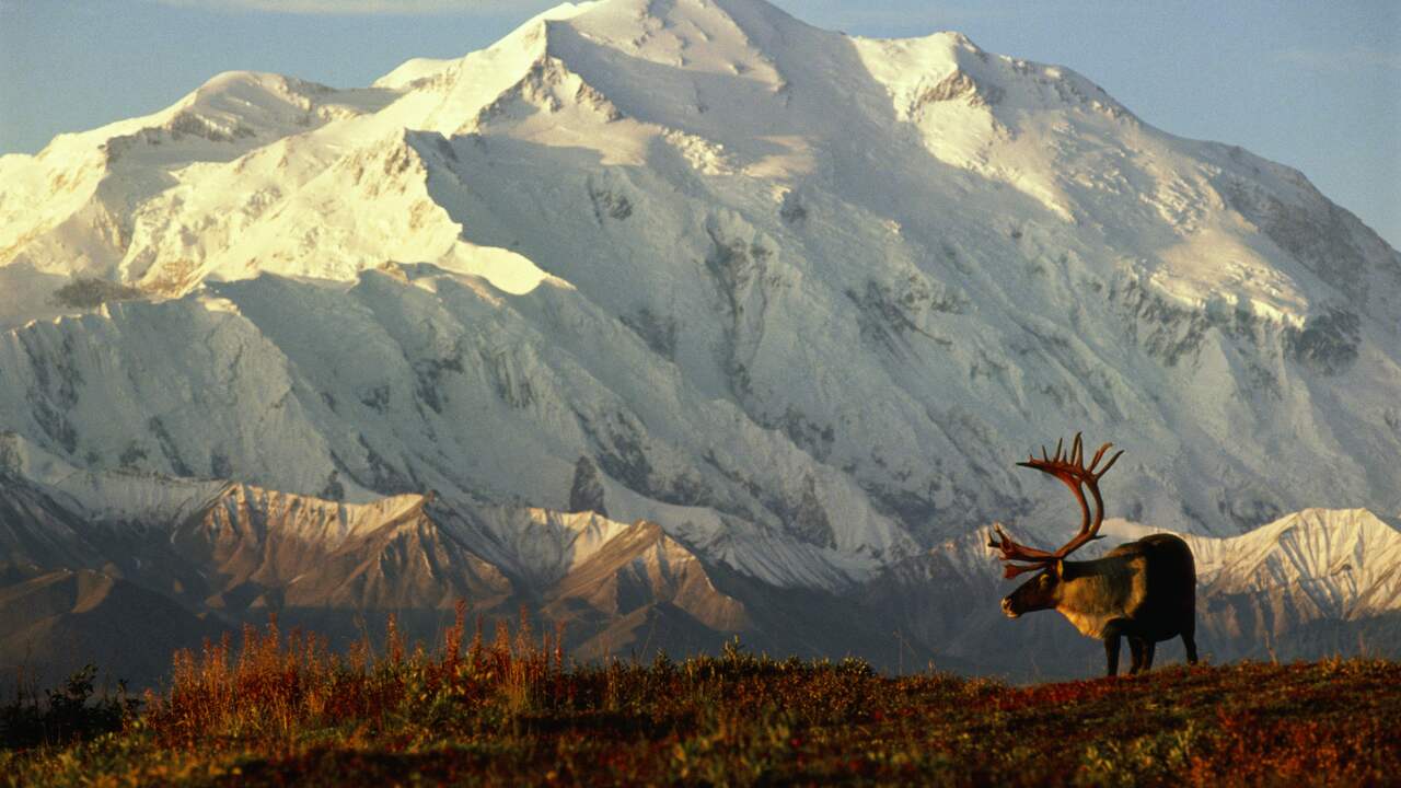 Klimaatverandering bereikt kantelpunten bij 2 graden opwarming | NU+ ...