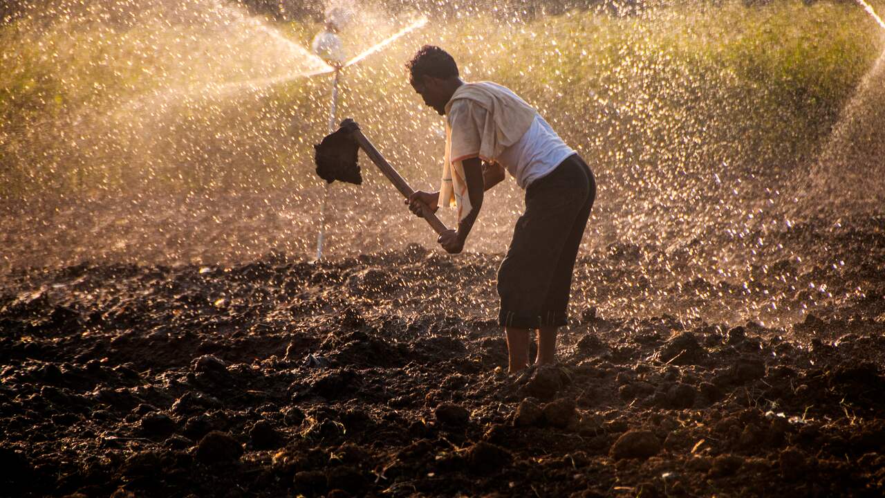 De aanhoudende hitte in India drukt op de lokale economie | Economie | NU.nl