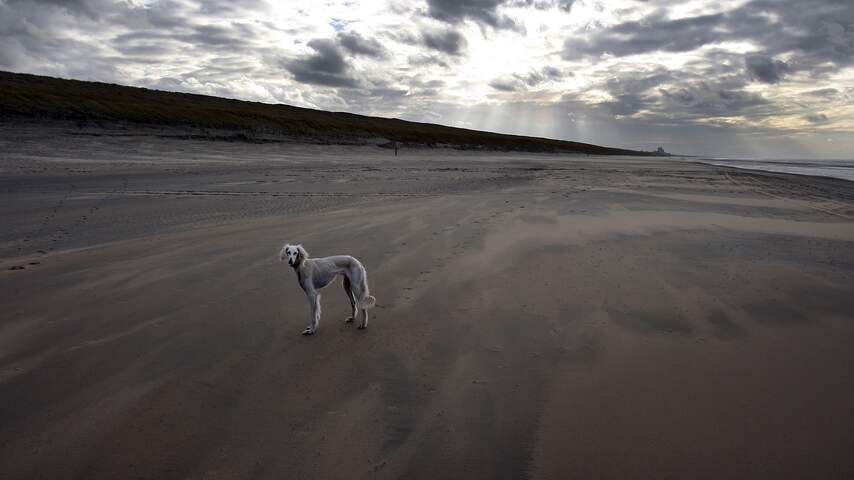 Weerbericht: Wolken, wind en af en toe zon | Binnenland | NU.nl Weerbericht: Wolken, wind en af en toe zon | Binnenland | NU.nl