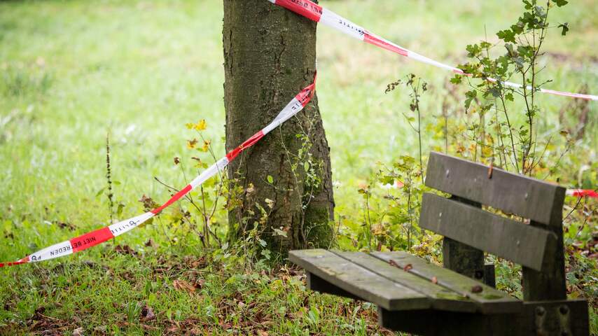 Hoger beroep Michael P.: Reconstructie van de zaak-Anne Faber ...