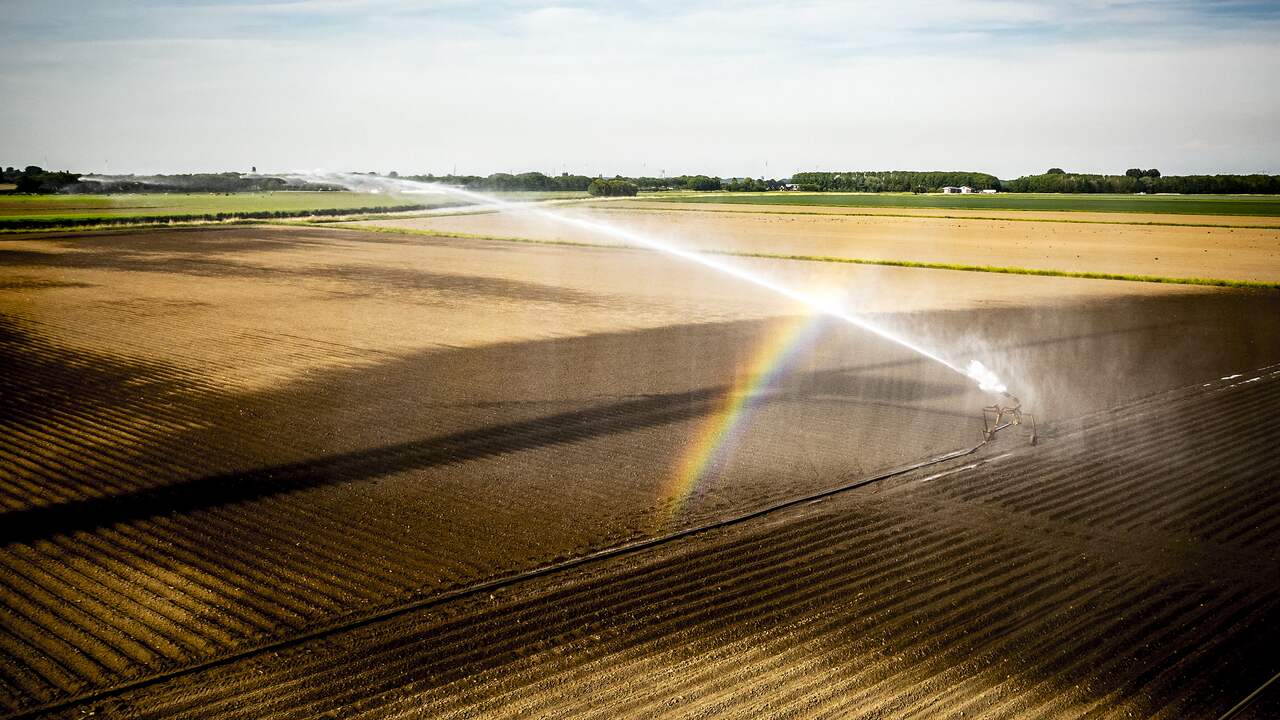 Hoger grondwater kan helpen bij koel houden Nederland tijdens ...