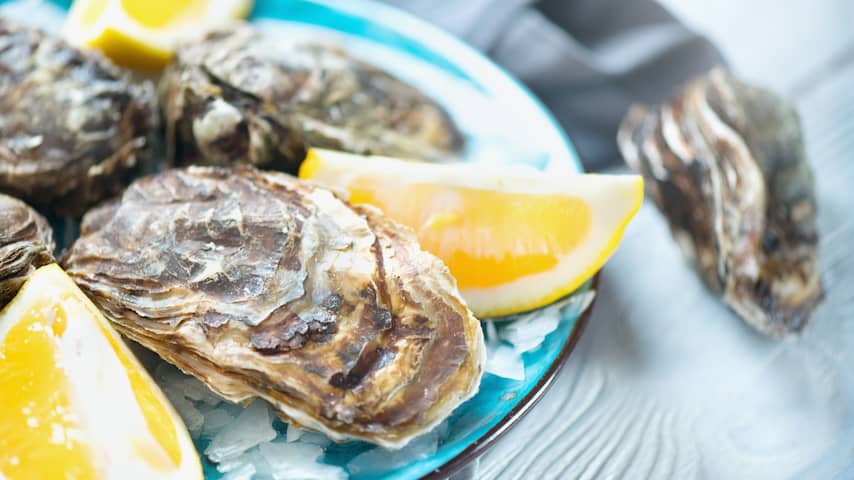 Oesterseizoen is gestart: Alles wat je moet weten als je oesters gaat ...