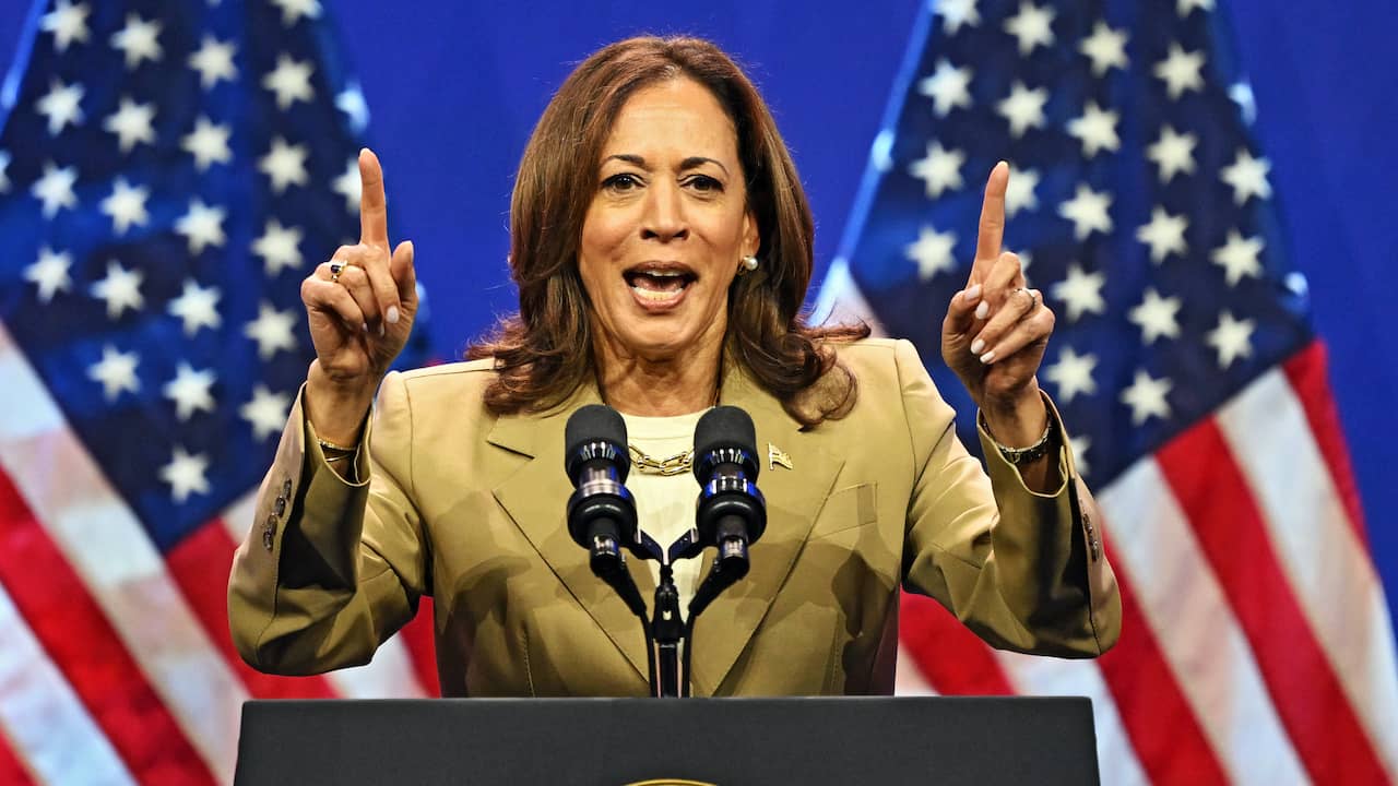 Harris zegt genoeg gedelegeerden te hebben voor nominatie Democraten ...