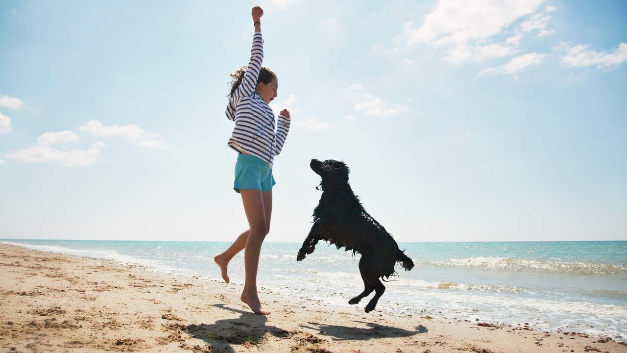 Weerbericht: Zomers weer aan de kust, maar in het zuidoosten regent het | Binnenland | NU.nl