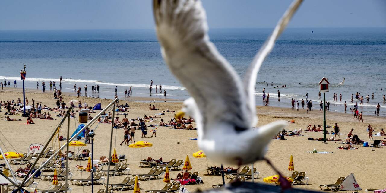 Weerbericht: Zacht en zonnig weer, in het zuiden tropisch warm | NU ...