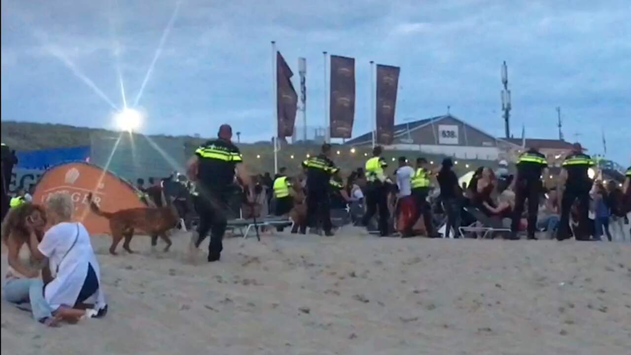 Politie zet honden in om overvol strandfeest Bloemendaal te sluiten | NU.nl