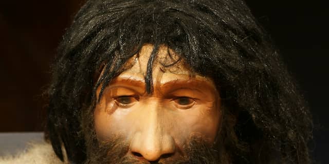 'Belgische' Neanderthalers pleegden kannibalisme | Wetenschap | NU.nl
