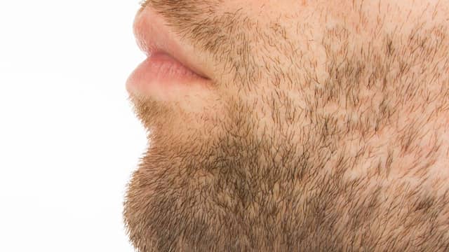'Zware stoppelbaard meest aantrekkelijk' | NU - Het laatste nieuws het ...