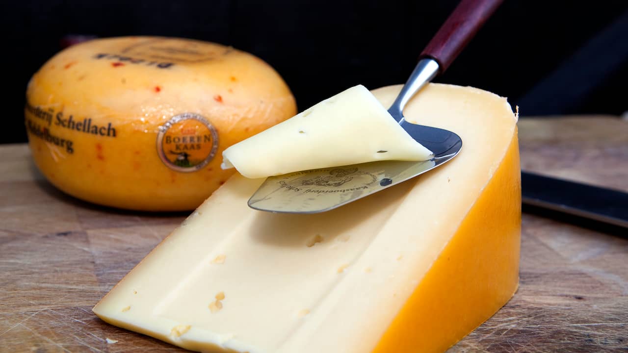 Do you use a cheese knife or a regular knife? : r/Cheese
