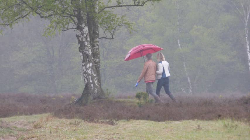 Weerbericht: Veel bewolking met in het noorden kans op motregen ...