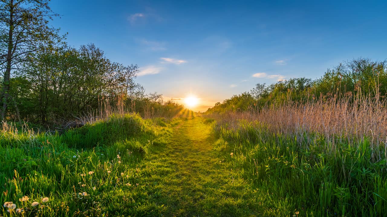 Zet de zonnebril maar weer op, nazomer wint het van de wolken ...