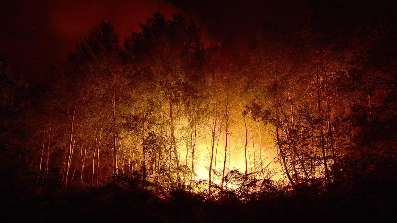 Enorme bosbranden in Australië eisen levens | NU - Het laatste nieuws ...