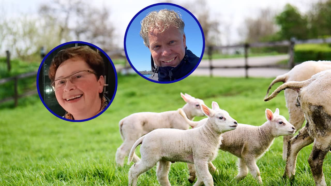 Als je leven stilvalt door Q-koorts: 'Kreeg na anderhalf jaar diagnose ...