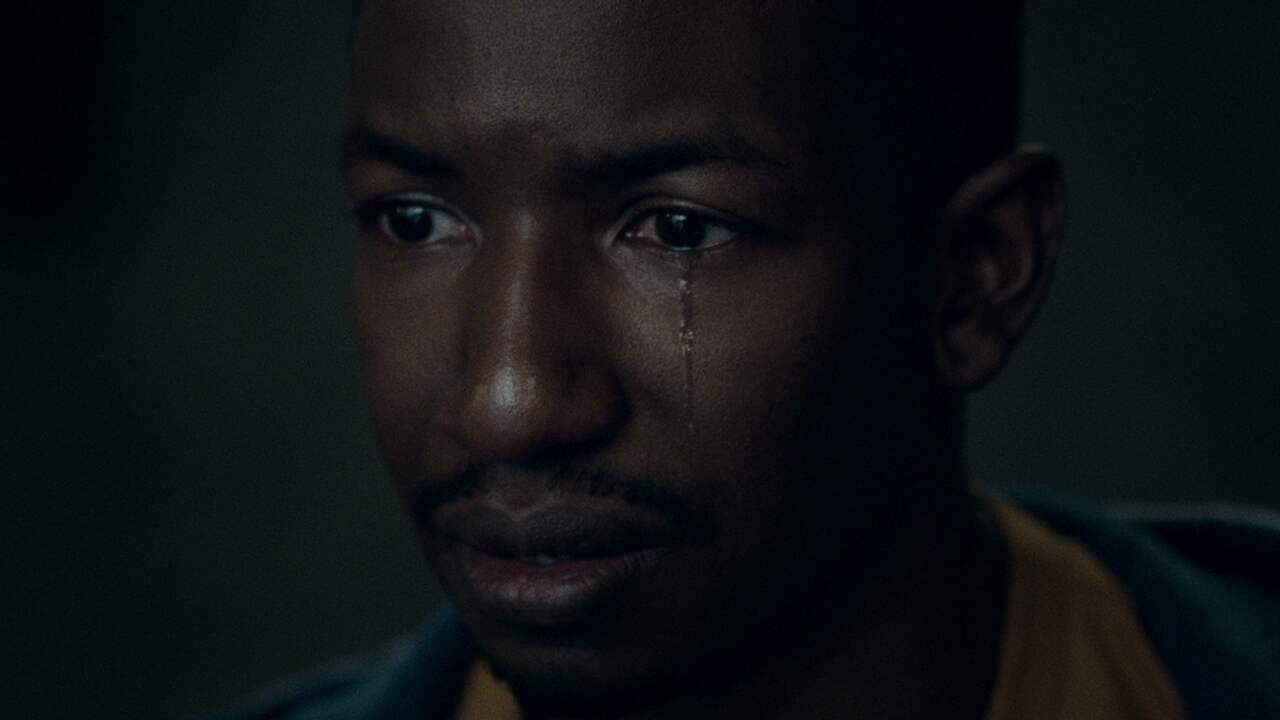 Netflix Archive Series 81 canceled after one season - - The Nation View