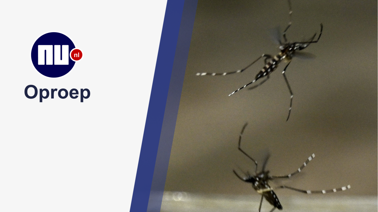 Welke vragen heb jij over knokkelkoorts? | Algemeen | NU.nl