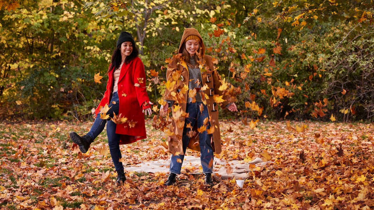 Waarom begint de herfst vandaag, maar ook later deze maand? | Binnenland | NU.nl