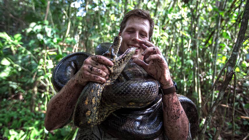 Freek Vonk ontdekt met onderzoeksteam nieuwe wurgslang: ruim 200 kilo ...