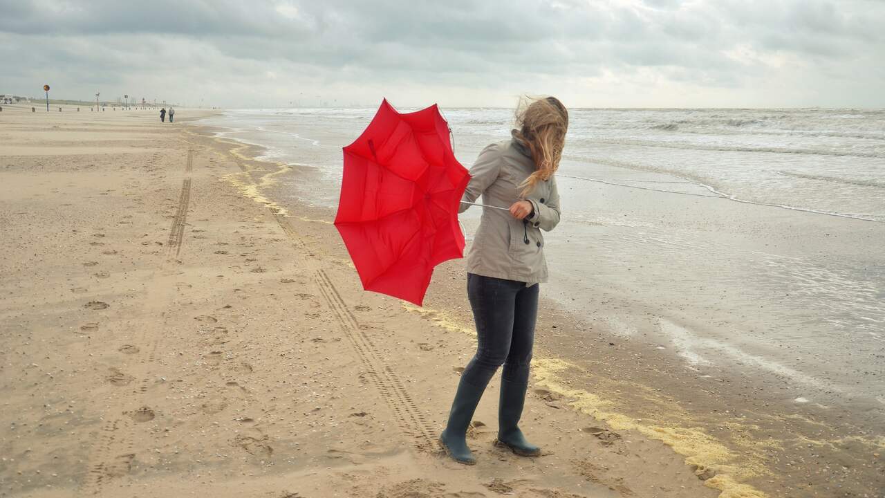 Weerbericht | Lichte regen en matige wind | Weerbericht | NU.nl