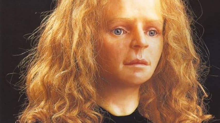 Omgevingsanalyse levert 'unieke inzichten' over Meisje van Yde op ...