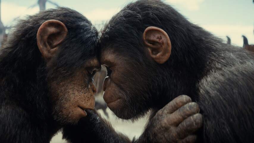 Nederlandse Laura bracht apen tot leven in nieuwe Planet of the Apes ...