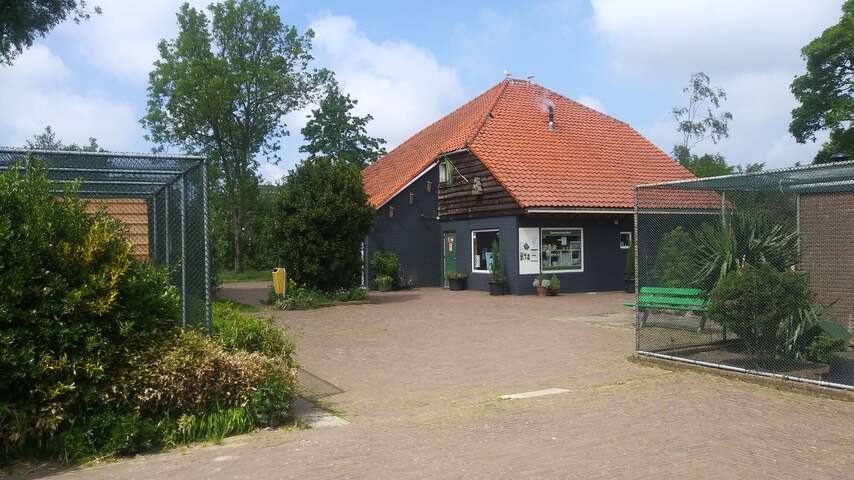 Gratis uit: Bezoek aan minidierentuin met krokodil en neusberen | Uit ...