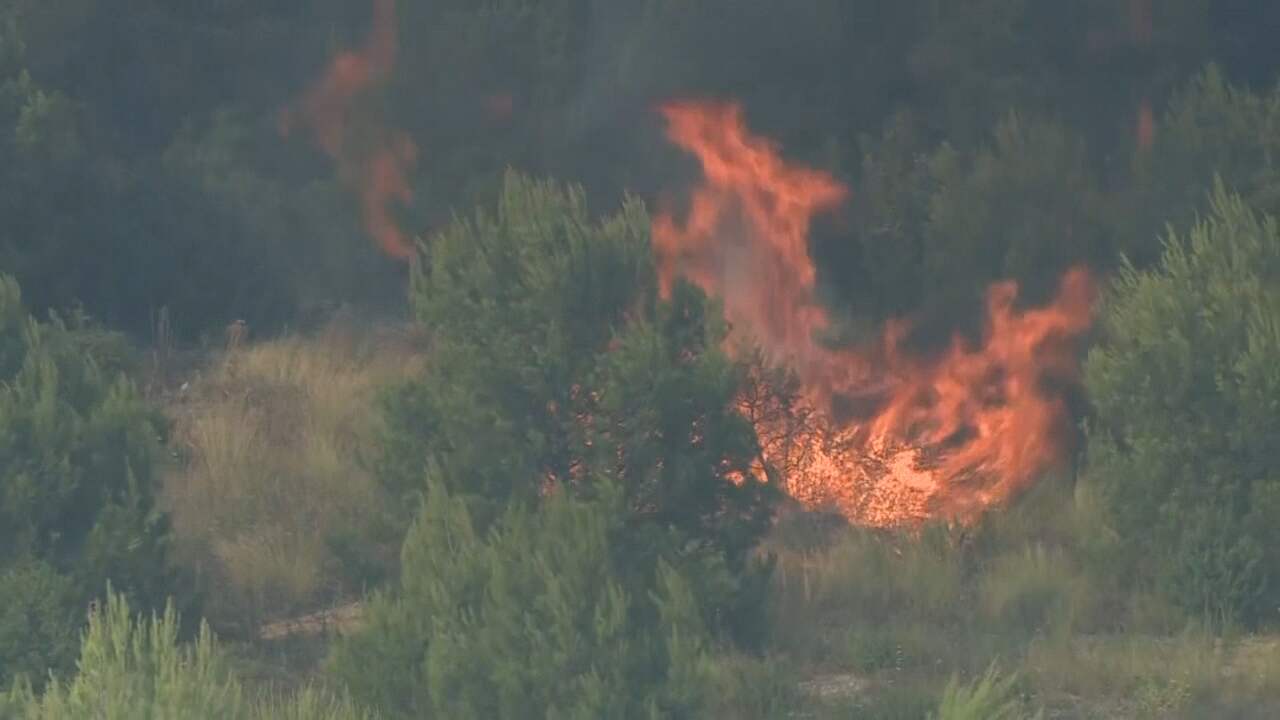 Bosbranden Kroatische kust verwoesten bomen | NU.nl