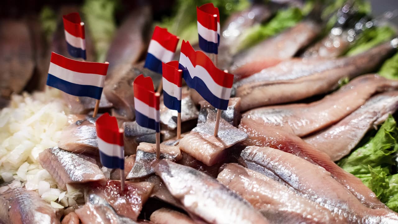 Na een week vertraging ligt de nieuwe haring nu toch in de winkels ...
