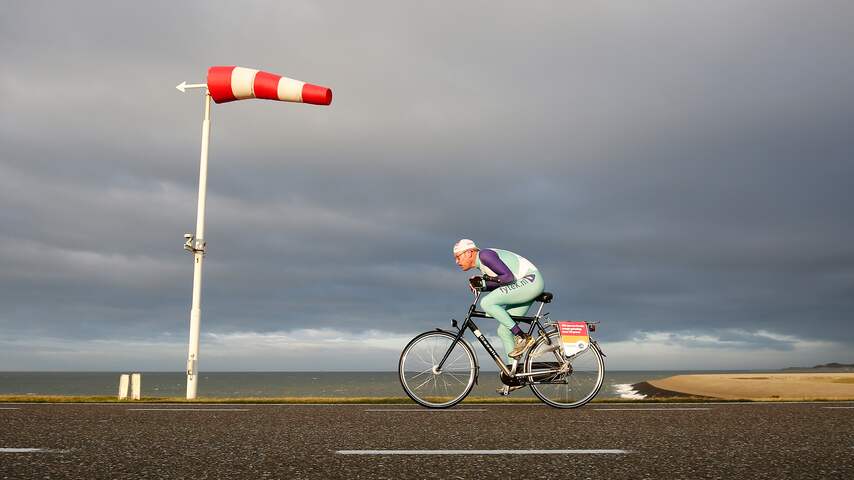 Eerste storm van 2023 een feit, man overleden door afgebroken tak op ...